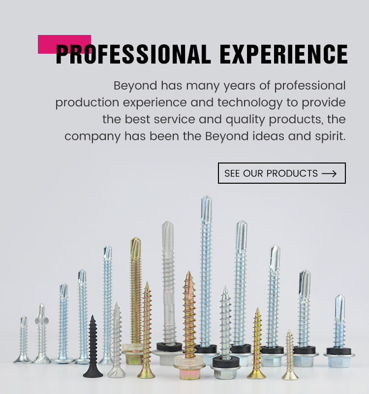 Aluminum Self Tapping Screw Manufacturer - Beyond